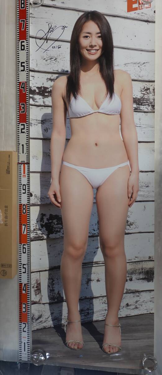 Yahoo!オークション - 3569等身大ポスター 谷桃子 エンタメ 水着ビキニ...