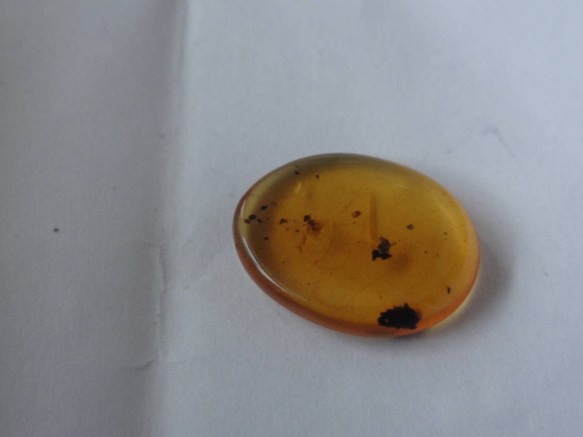 Yahoo!オークション - 2.7ct ブルーム アンバー 琥珀 昆虫入り ミャン...