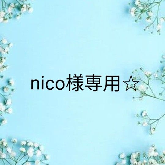 nico様専用｜Yahoo!フリマ（旧PayPayフリマ）