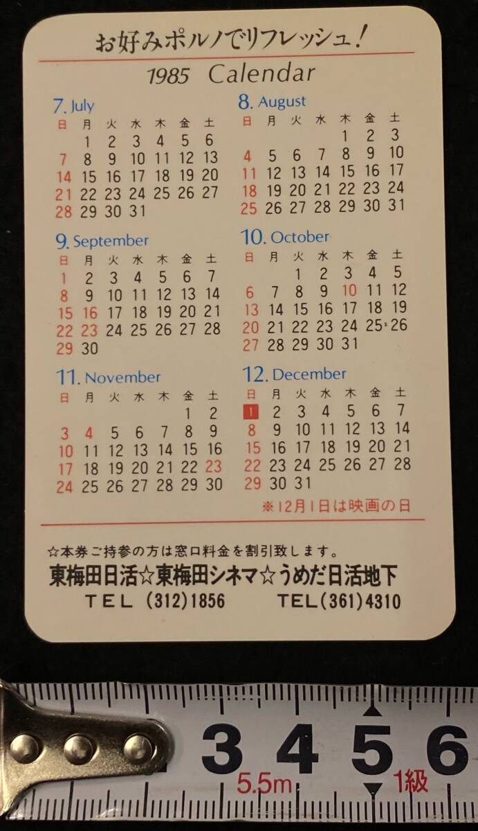 日本代購代標第一品牌【樂淘letao】－【503ポケットカレンダー】 赤坂麗 1985 ヌード にっかつ映画
