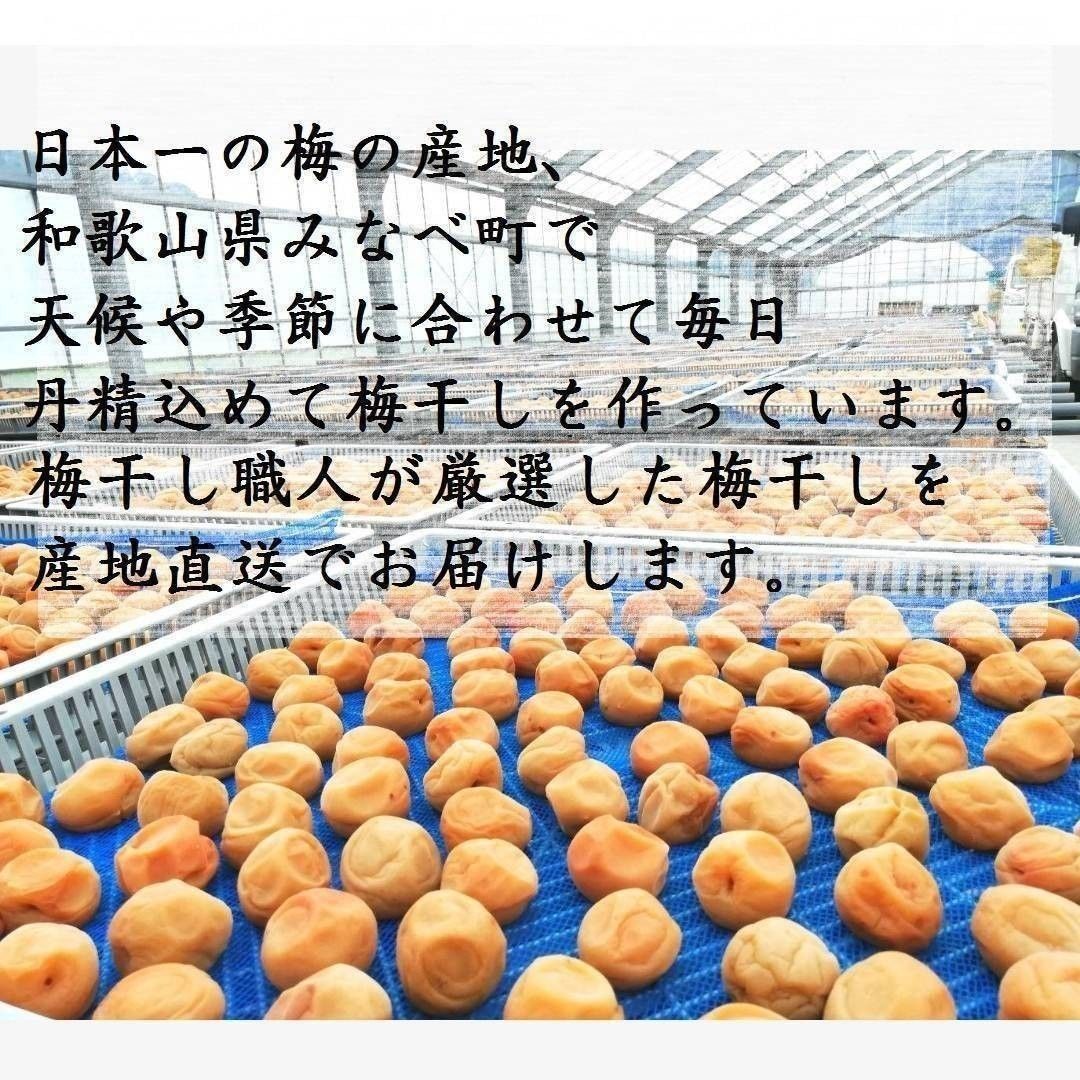 【災害時の非常梅にも】固めの小粒紀州南高梅950g｜Yahoo!フリマ（旧PayPayフリマ）