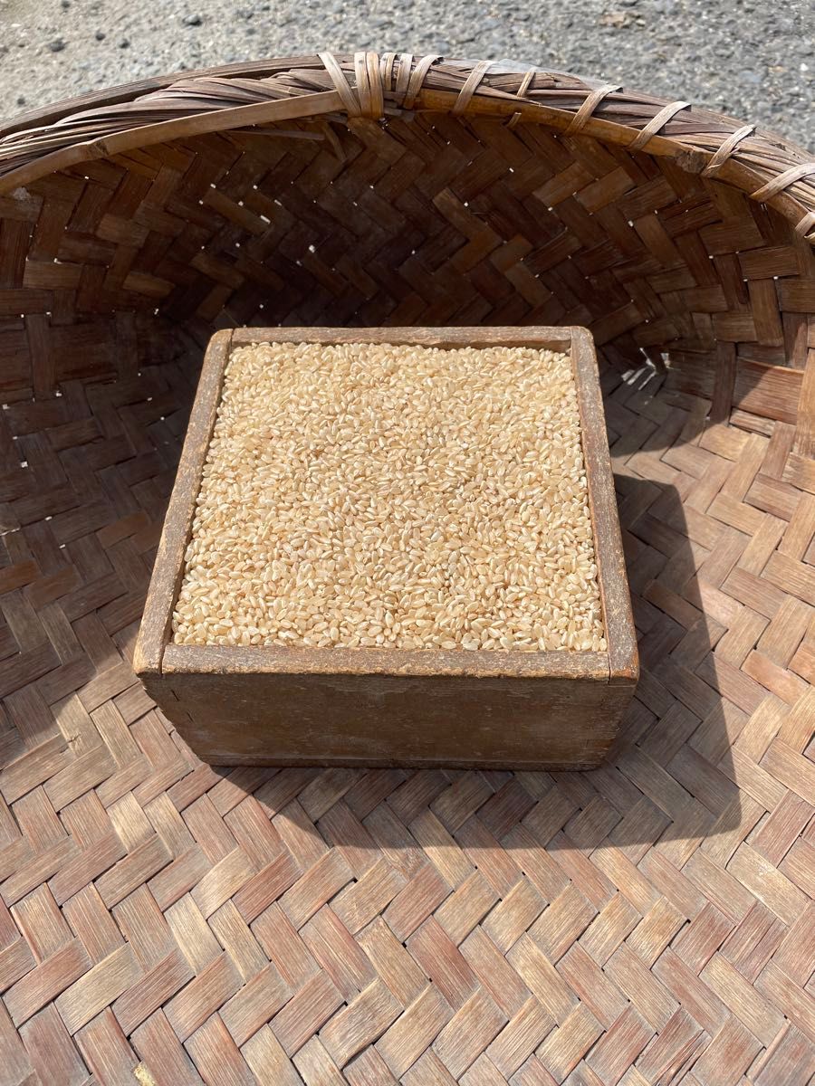 R6年産 山城米 ヒノヒカリ 玄米20kg｜Yahoo!フリマ（旧PayPayフリマ）