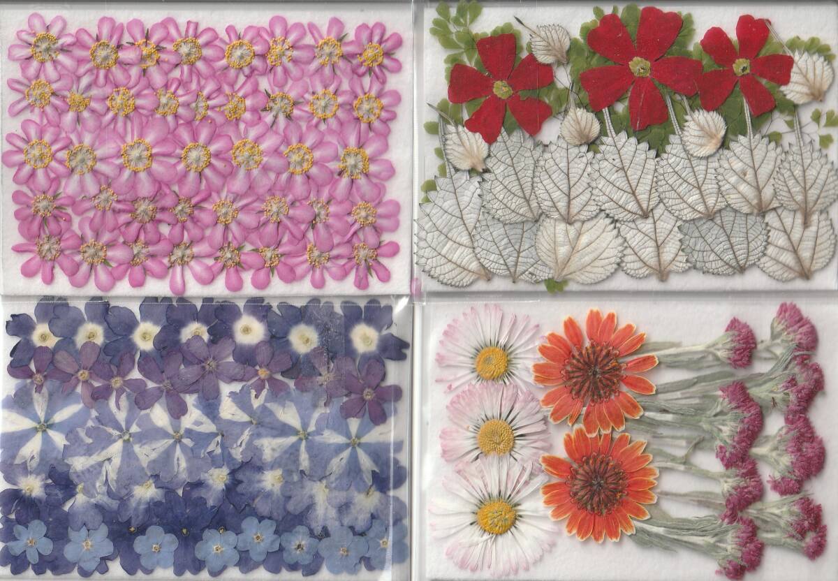 押し花素材 愛のかんざし 小花4袋 バーベナ他(押し花)｜売買されたオークション情報、yahooの商品情報をアーカイブ公開 - オークファン（aucfan.com）