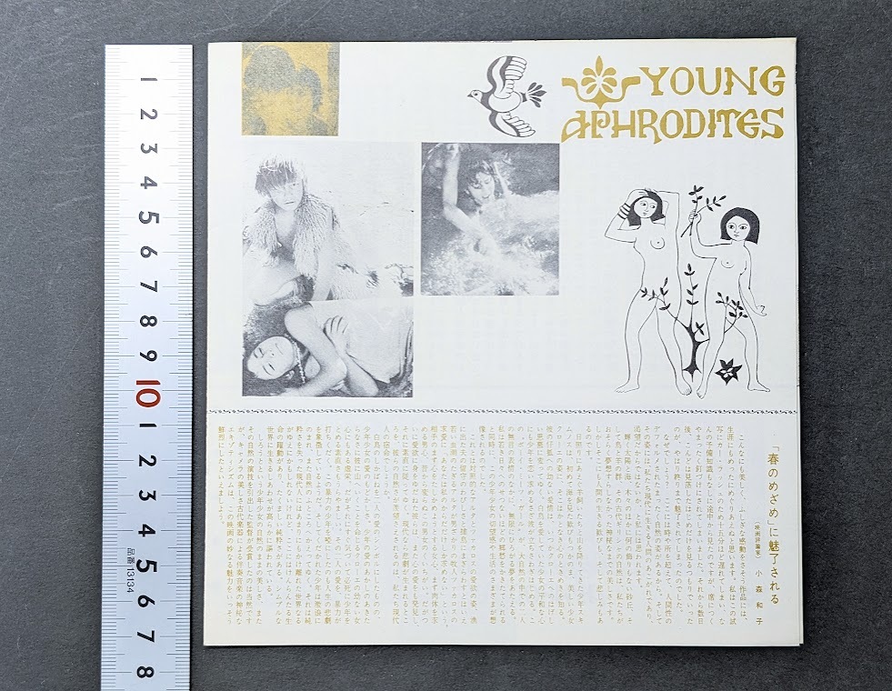 Yahoo!オークション - U16 春のめざめ ベルリン映画祭最優秀監督賞受賞...