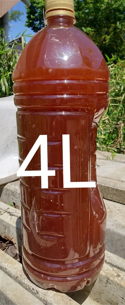 Yahoo!オークション - PSB (光合成細菌) 4000ml ペットボトル発送 めだ...