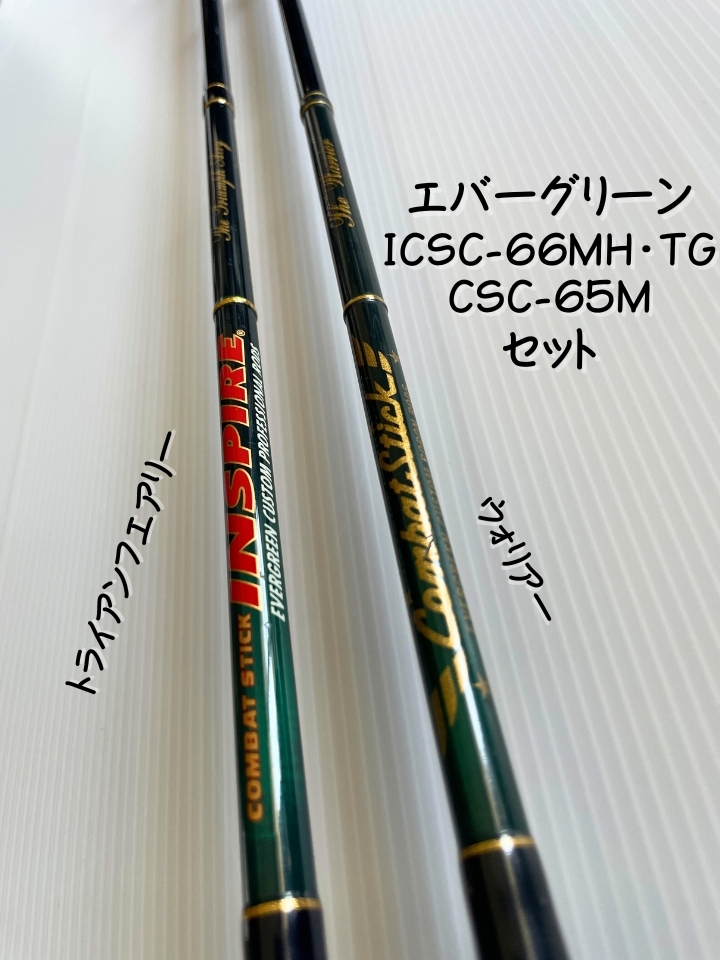 Yahoo!オークション - 【2本セット】エバーグリーン ICSC-66MH TG ／ C...