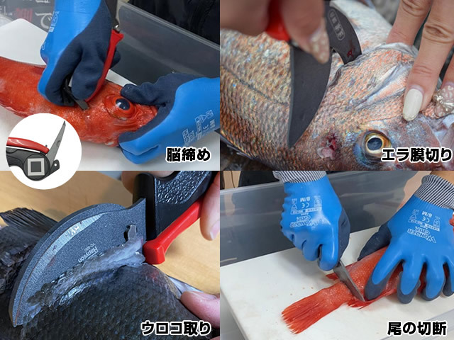 Yahoo!オークション - ハピソン(Hapyson) 津本式 計測マルチハサミ ブ...