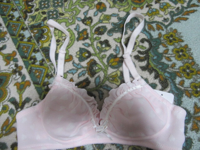 Yahoo!オークション - 新品㈱ディノスセシール製品ブラジャーAA65ハー...