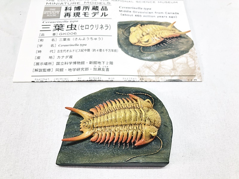 Yahoo!オークション - 海洋堂 科博所蔵品再現モデル 三葉虫(セロウリネ...