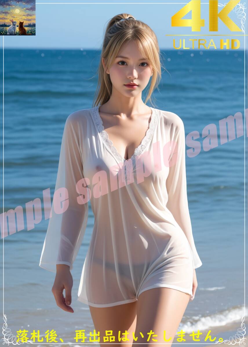 B320 AI美女 セクシー グラビア かわいい イラスト アート コスプレ 高画質 ポスター A4 美乳 美尻 ランジェリー :: Yahoo!Auction｜DEJAPAN - Bid ...