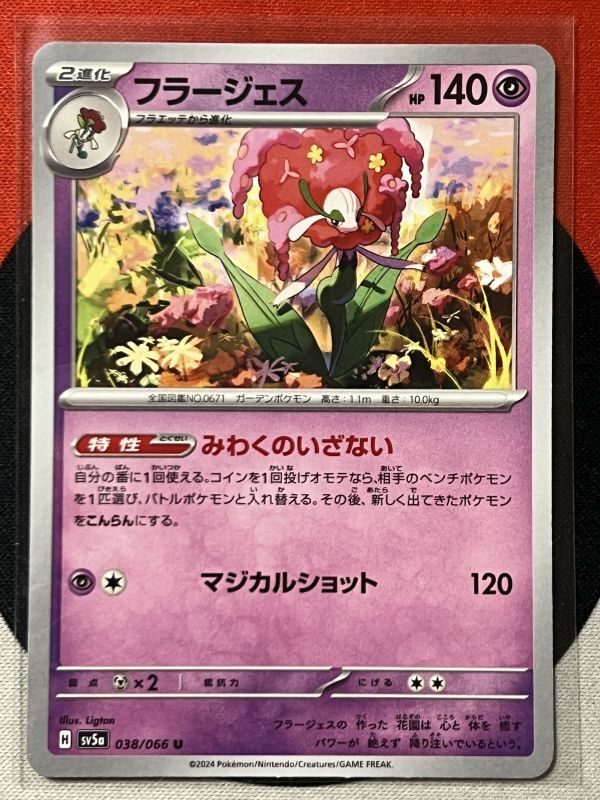 Yahoo!オークション - 【送料85円～】 フラージェス みわくのいざない ...