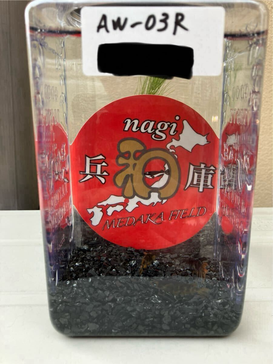 Yahoo!オークション - 【sazabi killifish】現物出品 AW-03R 1ペア＋1...