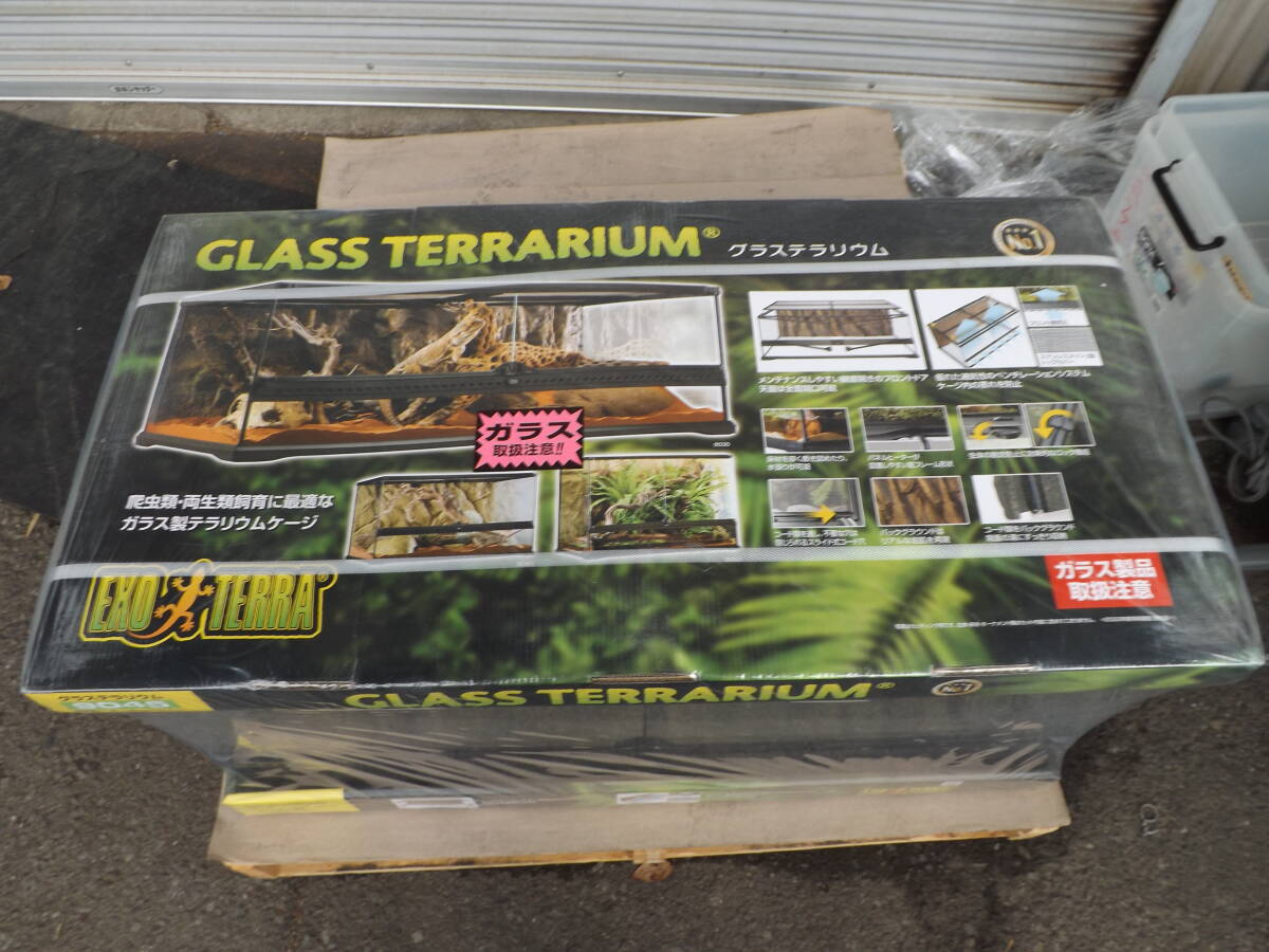 Yahoo!オークション - 送料無料 未開封.未使用 GEX エキゾテラ グラス...