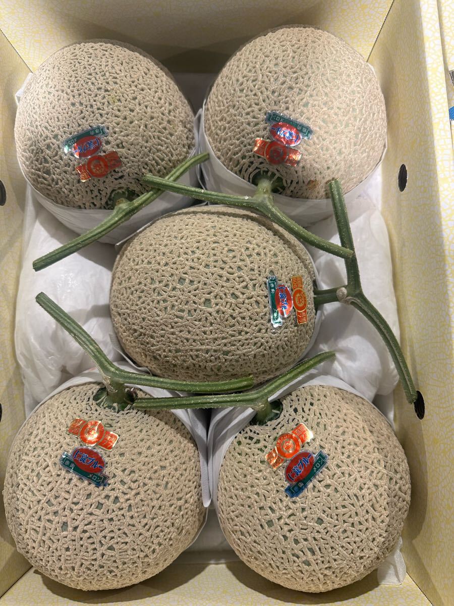 Yahoo!オークション - 高知 赤肉 アールスメロン 5玉 仁淀ブルー マス...