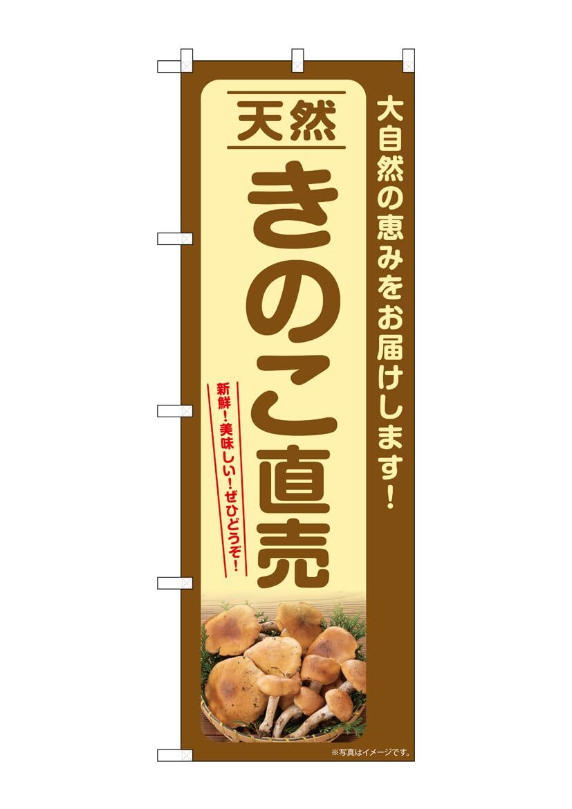 Yahoo!オークション - のぼり屋工房(Noboriyakobo) SNB-7332 天然きの...