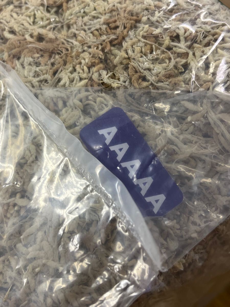 Yahoo!オークション - 水苔 ニュージーランド産 AAAAA 500g