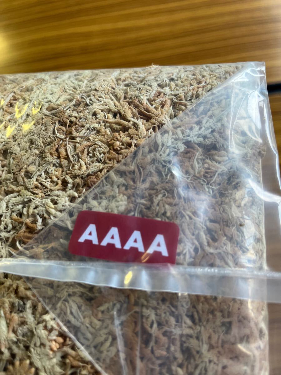Yahoo!オークション - 水苔 ニュージーランド産 AAAA 1kg