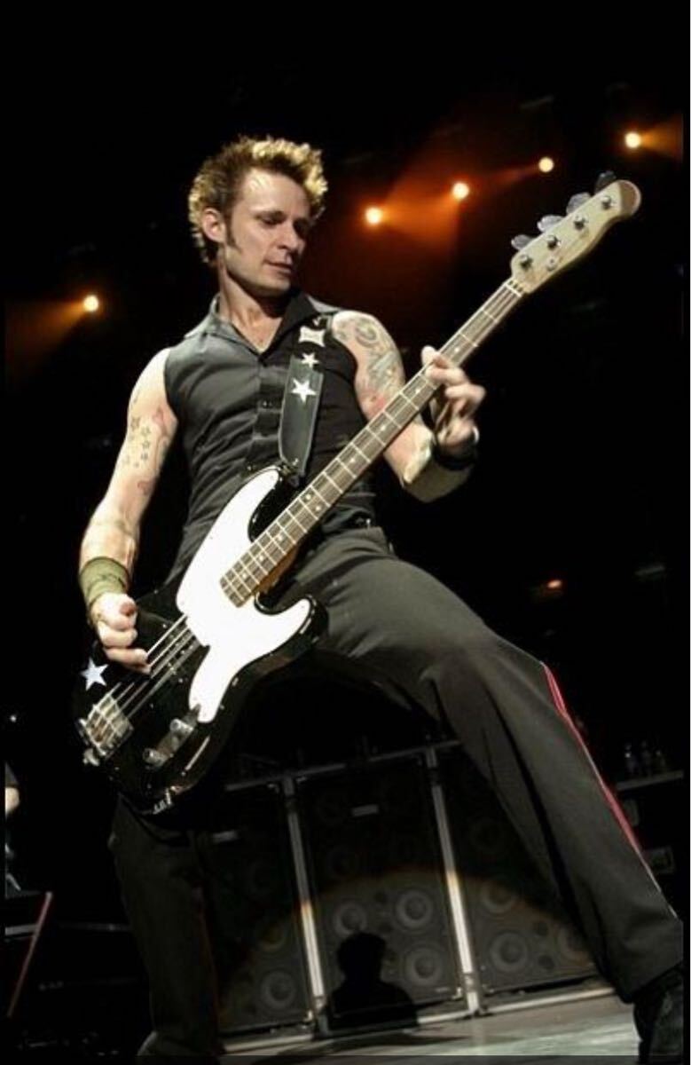 Yahoo!オークション - スクワイヤー プレシジョンベース マイクダーン...