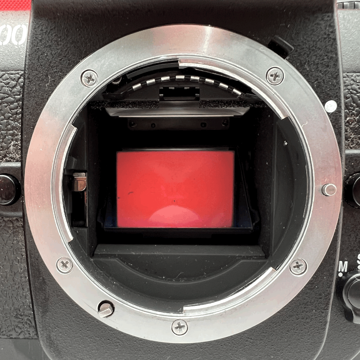 ♪65 Nikon F100 一眼レフカメラ フィルムカメラ AF動作確認済 ♪65 Nikon F100 一眼レフカメラ フィルムカメラ AF動作確認済