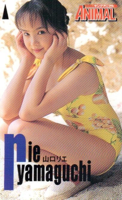 Yahoo!オークション - 山口リエ ヤングアニマル 微擦れあり テレカ5...