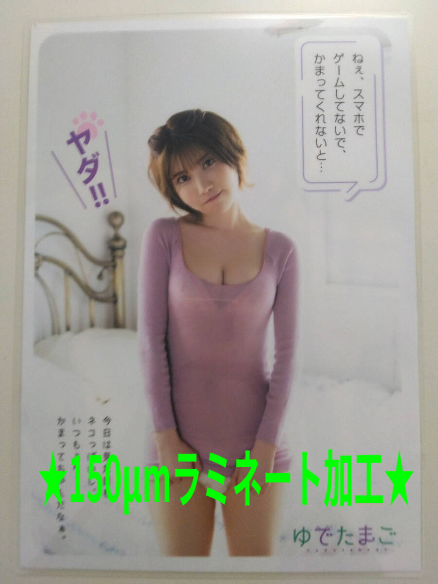 Yahoo!オークション - B254《切り抜き》【ゆでたまご 8P】厚手ラミネー...