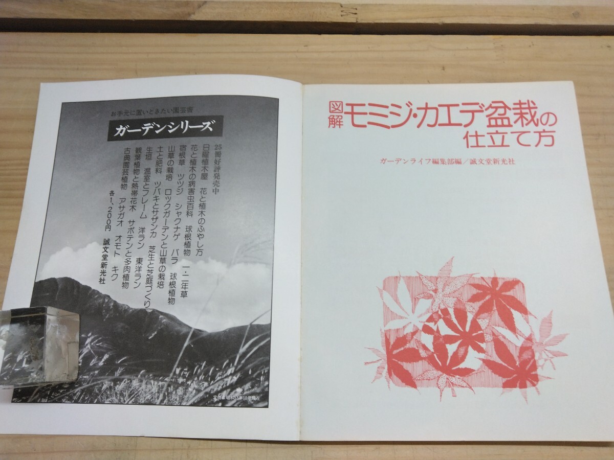 Yahoo!オークション - Q48 図解 盆栽専門誌『モミジ・カエデ盆栽の仕立...