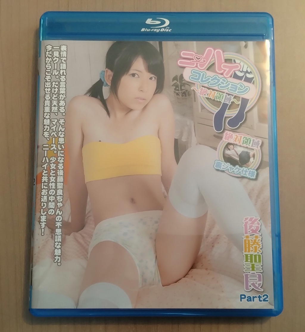 Yahoo!オークション - 後藤聖良 ニーハイコレクション ～絶対領域～ Pa...