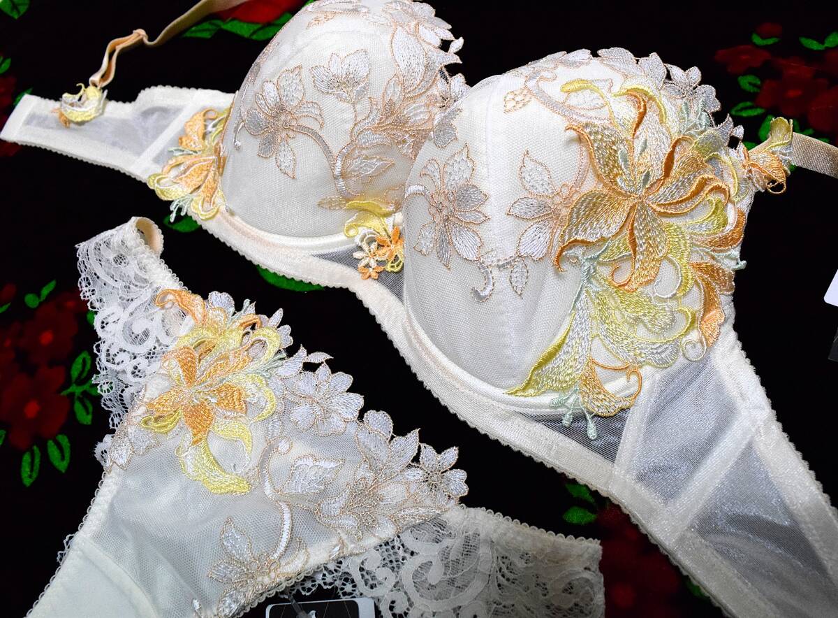 Yahoo!オークション - 新品・タグ付き ワコール サルート 53G・レト...