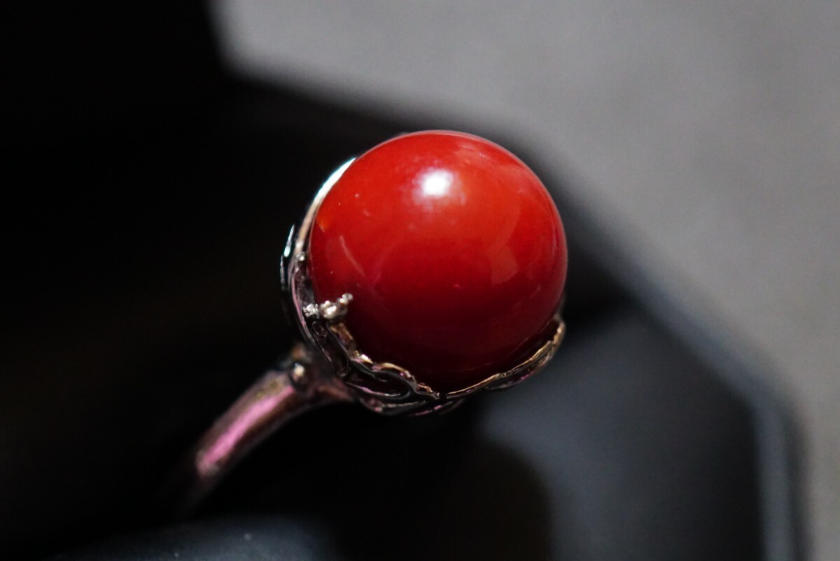 Yahoo!オークション - x97 大玉 赤珊瑚 丸玉 約11.6㎜ 天然珊瑚 コーラ...