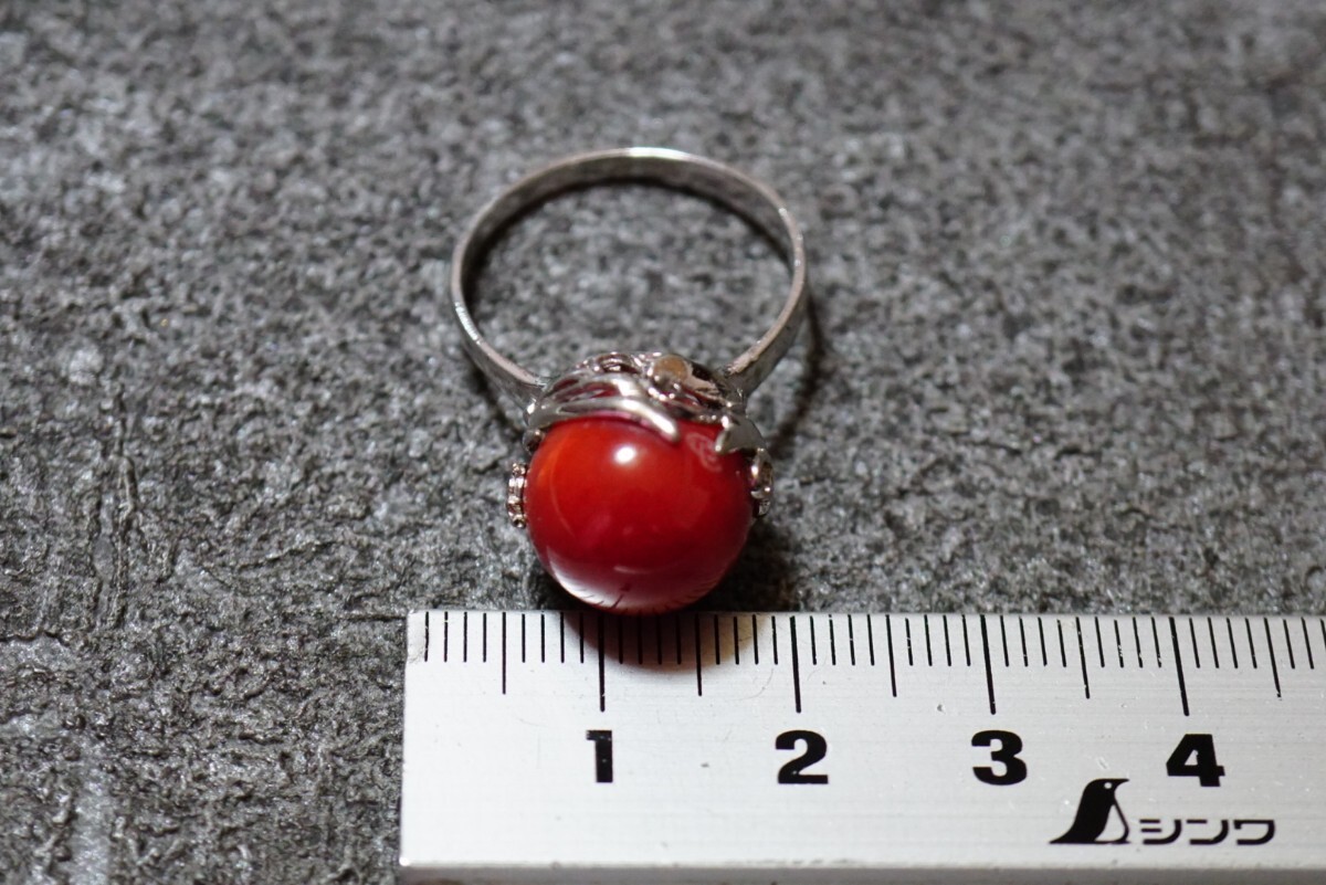 Yahoo!オークション - x97 大玉 赤珊瑚 丸玉 約11.6㎜ 天然珊瑚 コーラ...