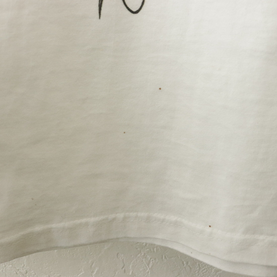 Yahoo!オークション - q610 90sビンテージ フルーツオブザルーム 半袖T...