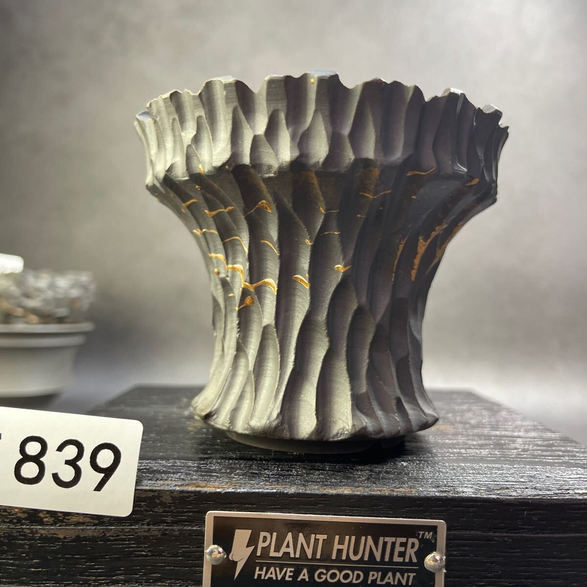 さ839 HAND Made 植木鉢 陶器検(アガベ パキプス 姫巌竜 帝釈天 さ839 HAND Made 植木鉢 陶器検(アガベ パキプス 姫巌竜 帝釈天
