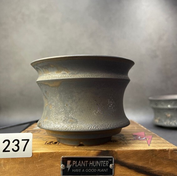 あ237 HAND Made 植木鉢 陶器検(アガベ パキプス 姫巌竜 帝釈天 あ237 HAND Made 植木鉢 陶器検(アガベ パキプス 姫巌竜 帝釈天