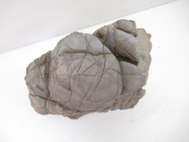 必見!【 鑑賞石 亀甲石 北海道 6.8kg ② 】姿石 天然石 水石 必見!【 鑑賞石 亀甲石 北海道 6.8kg ② 】姿石 天然石 水石