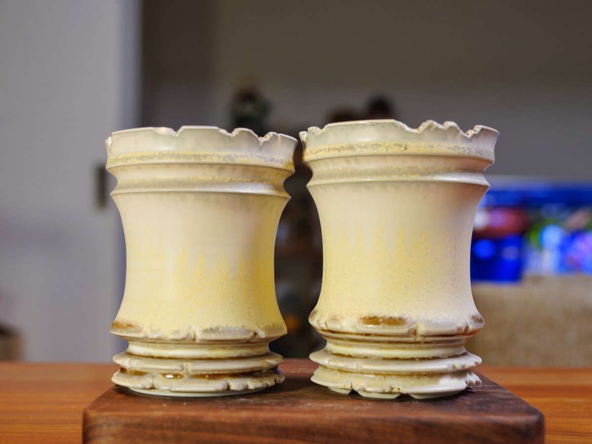 Yahoo!オークション - 手作植木鉢 陶器鉢 Mサイズ 2点セット 検(塊根植...