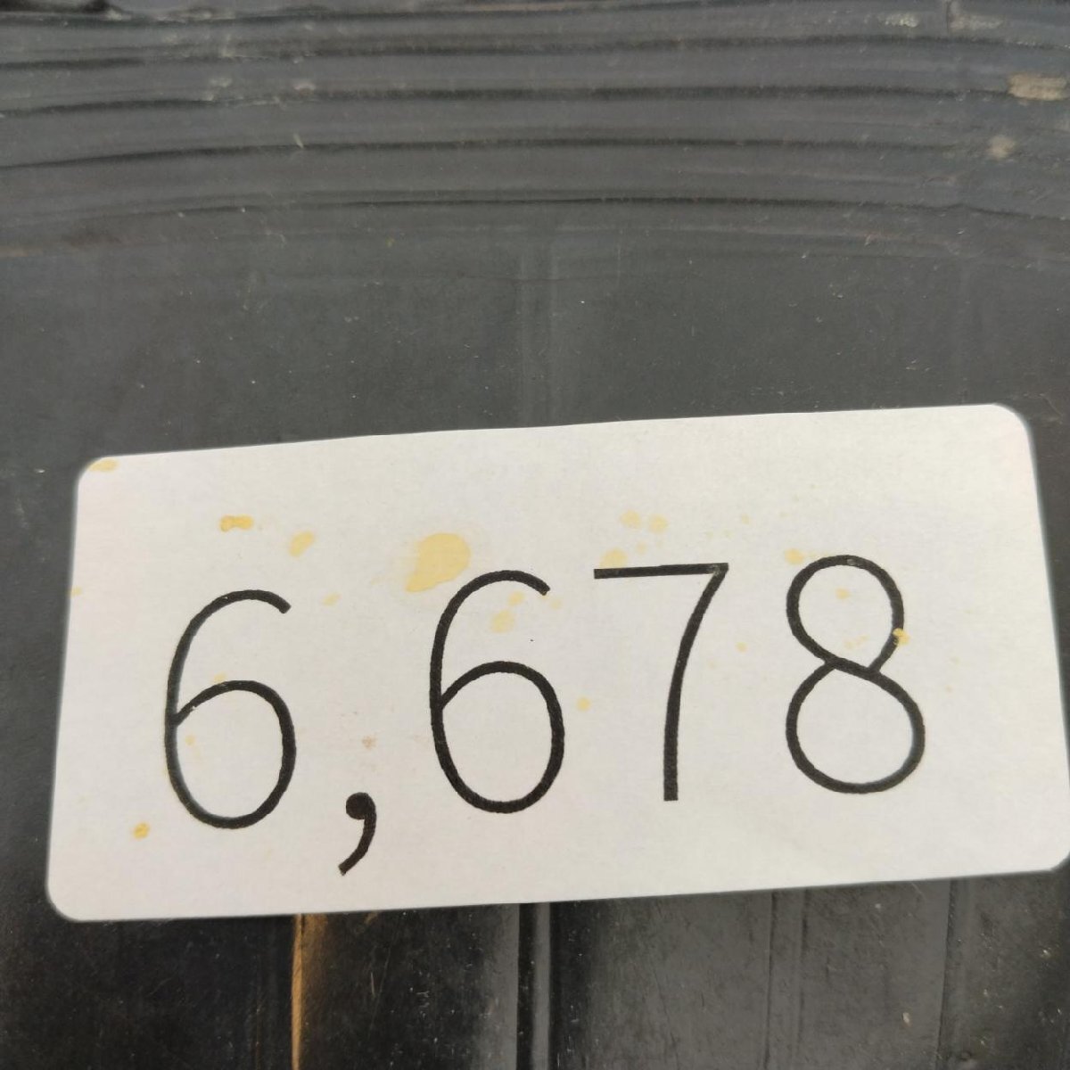 Yahoo!オークション - 6678 「塊根植物」パキポディウム グラキリス S ...