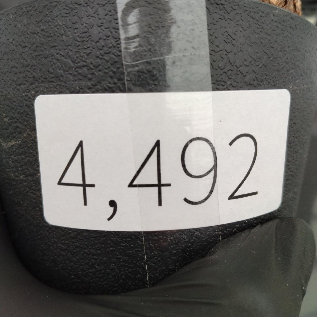 Yahoo!オークション - 4492 「塊根植物」ペラルゴニウム トリステ 植え...