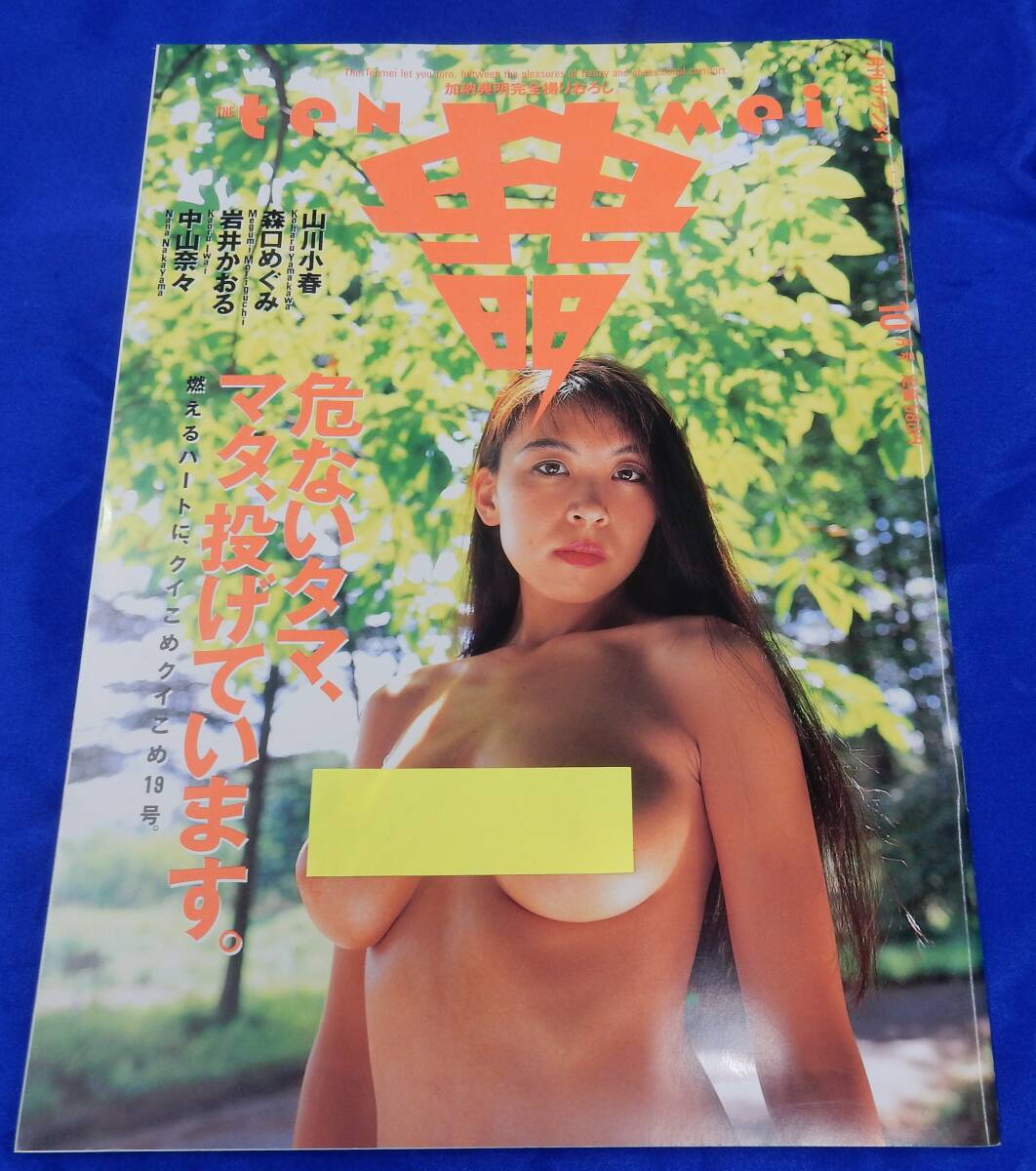 Yahoo!オークション - 月刊 ザ・テンメイ tenmei 典明 平成6年 10月号