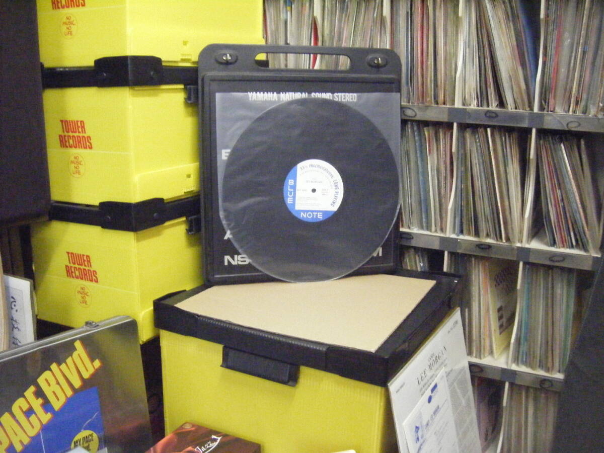 Yahoo!オークション - Y-204 リーモーガン / キャンディ