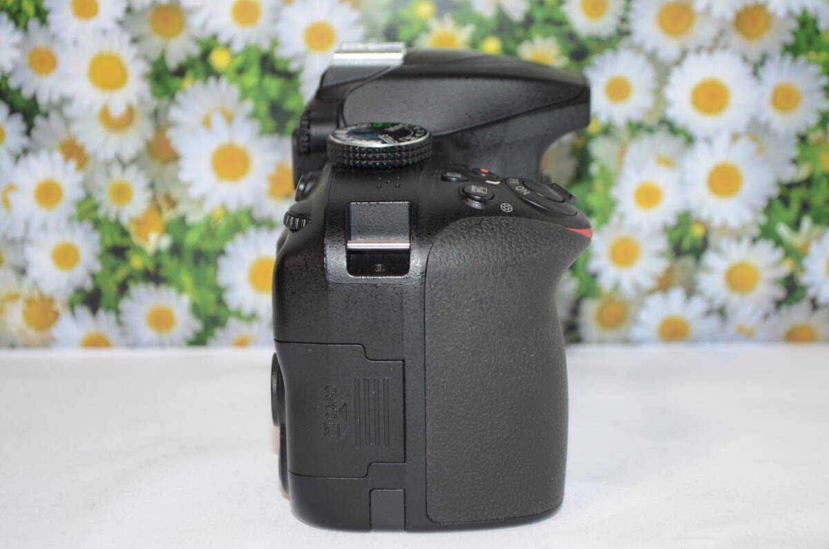 S数2543回 Nikon ニコン D3400 一眼レフ Bluetooth 超高性能 S数2543回 Nikon ニコン D3400 一眼レフ Bluetooth 超高性能