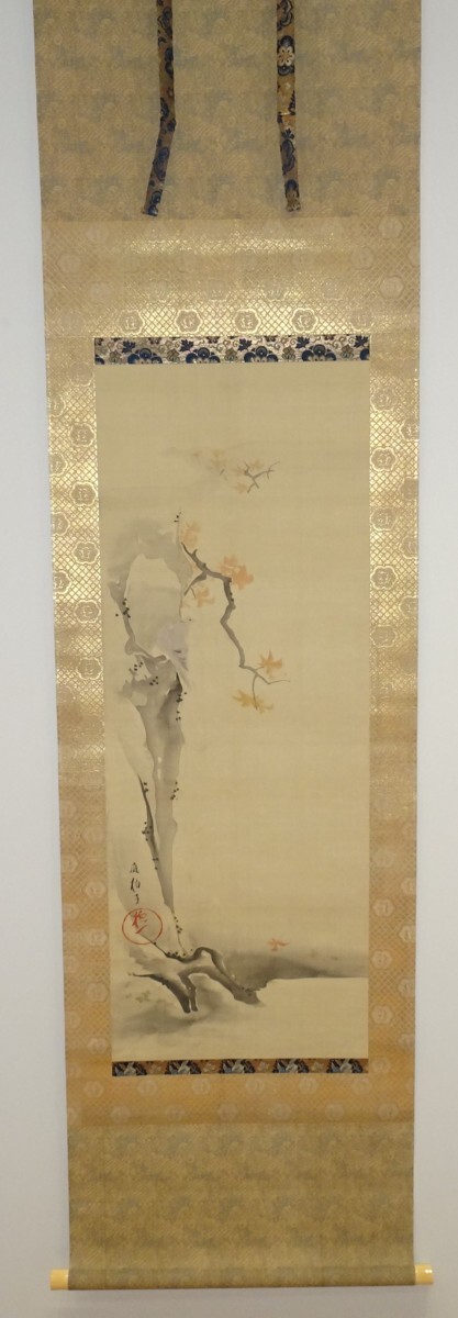 Yahoo!オークション - rarebookkyoto k82絵資料 庭柏子/ 琳派 紅葉山...