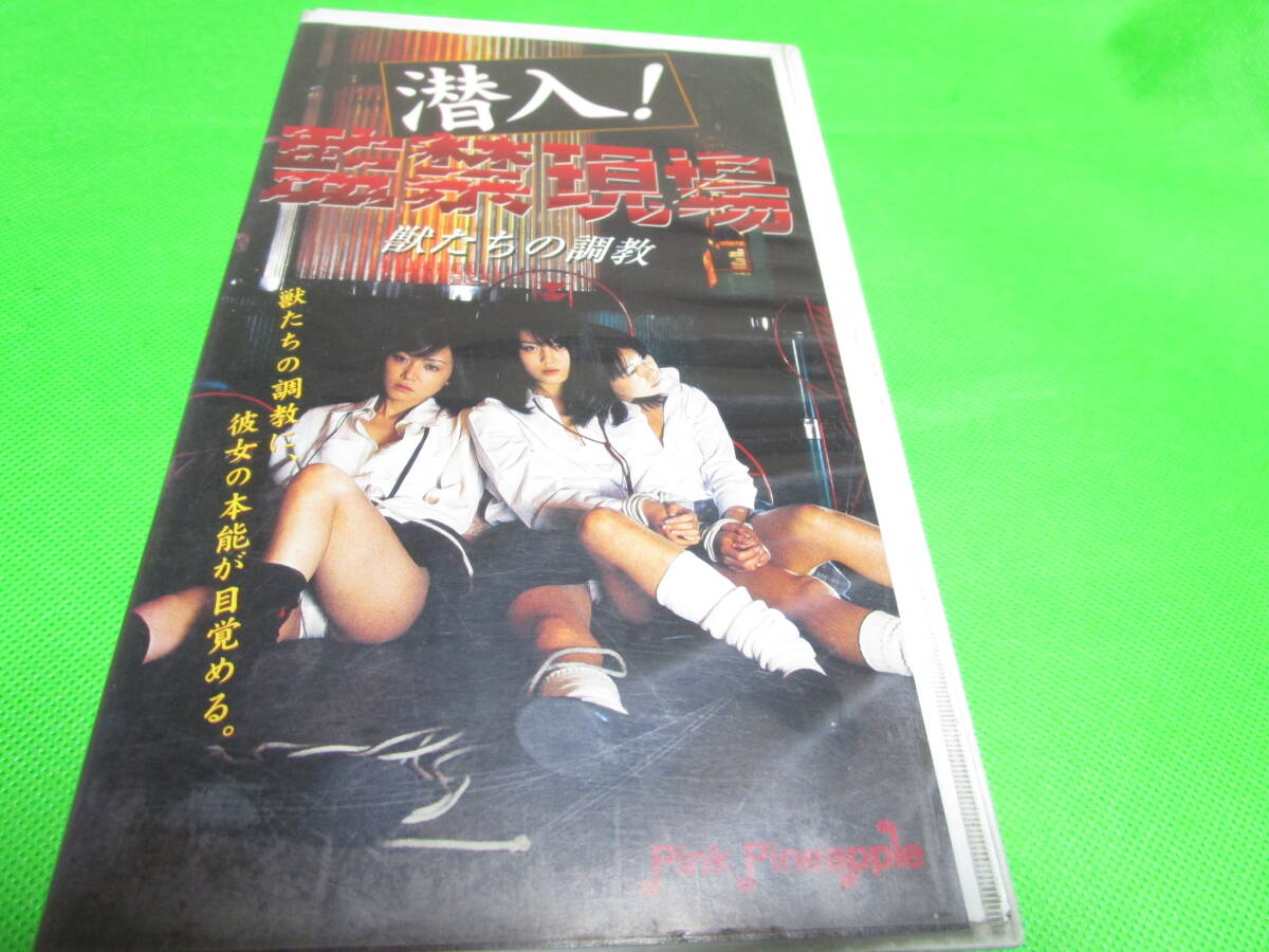 Yahoo!オークション - 潜入 監禁現場 獣たちの調教 VHS レンタル落ち