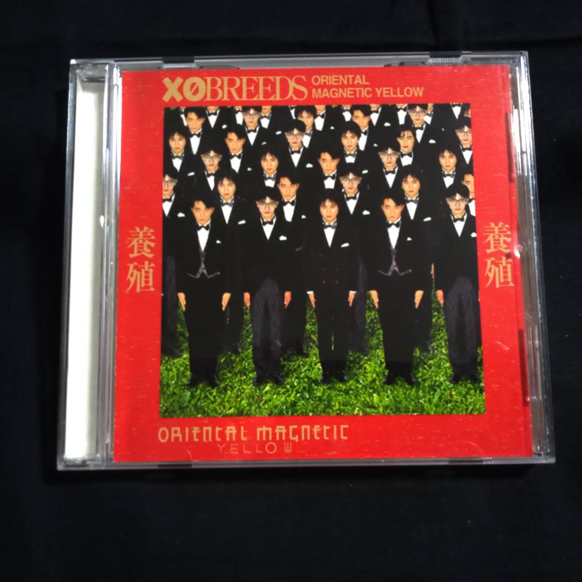 Yahoo!オークション - 養殖 OMY オリエンタル・マグネティック・イエロ...