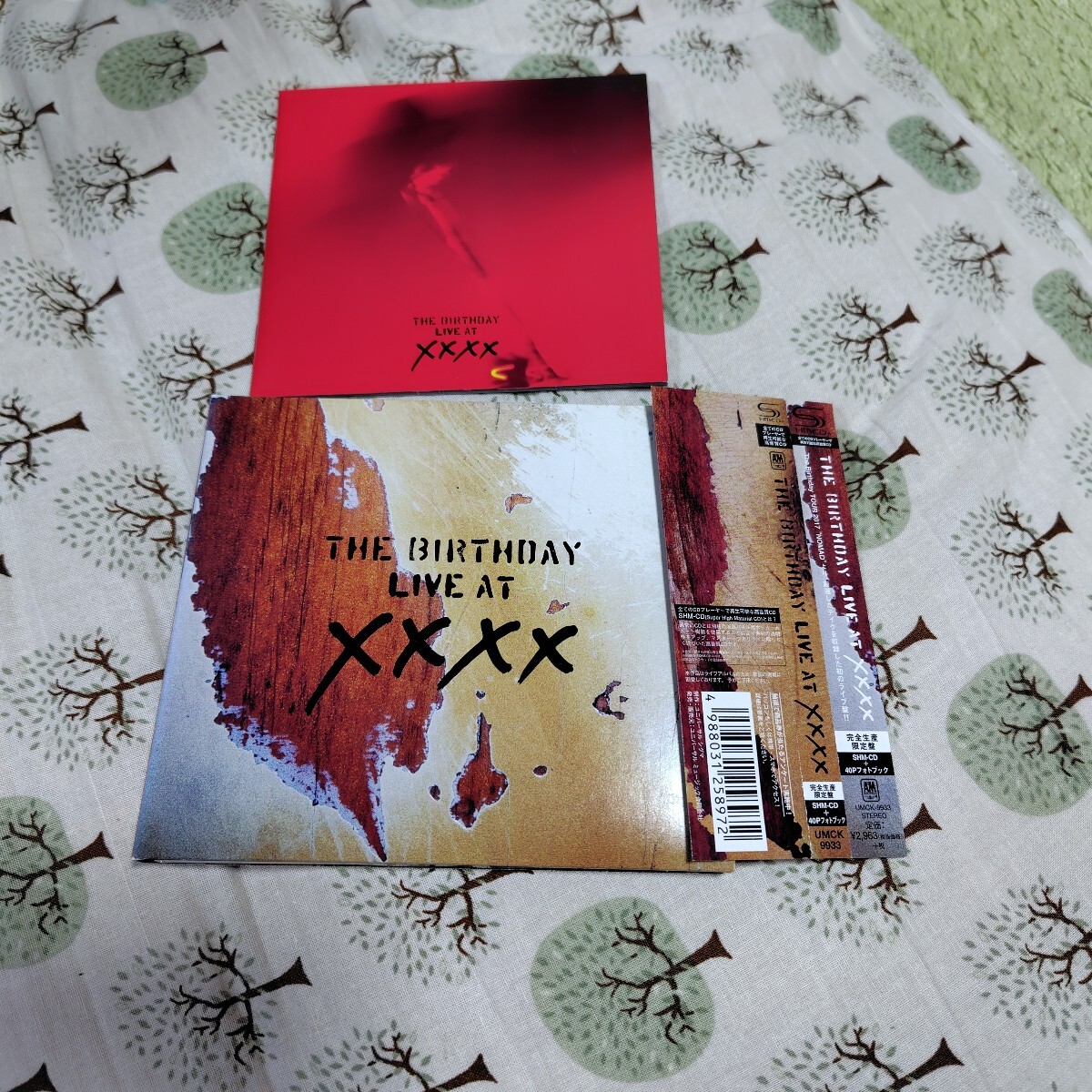 Yahoo!オークション - the birthday live at xxxx