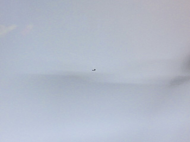 Yahoo!オークション - B231 ZR-V ZRV RZ3 RZ5 RZ4 RZ6 左フロントドア