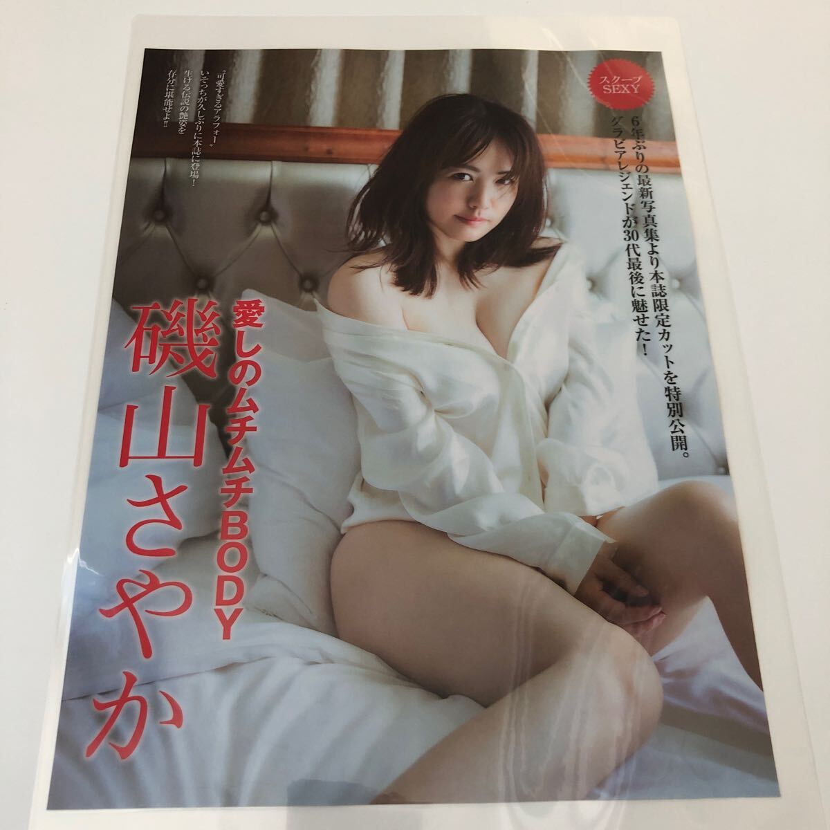 Yahoo!オークション - 磯山さやか フライデー2023.10.27 A4変8p B5 2p ...