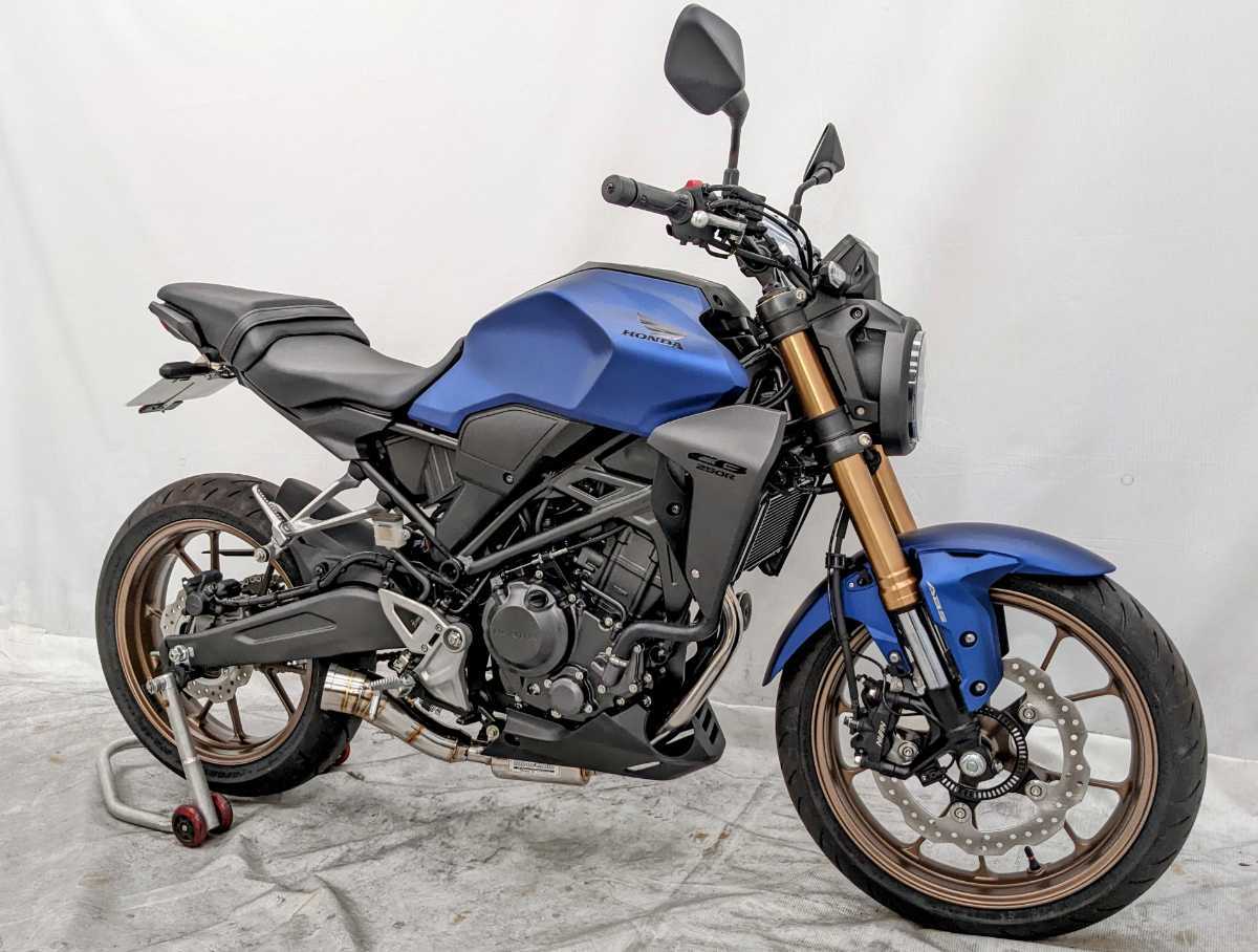 Yahoo!オークション - ホンダ/HONDA CB250R（2BK/8BK）用スネークGPフ...