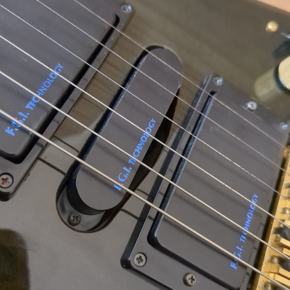 Yahoo!オークション - フェルナンデス FGI 青文字 中古 FERNANDES