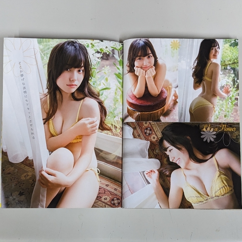 Yahoo!オークション - ヤングアニマル 2017No.18 RaMu 林花音