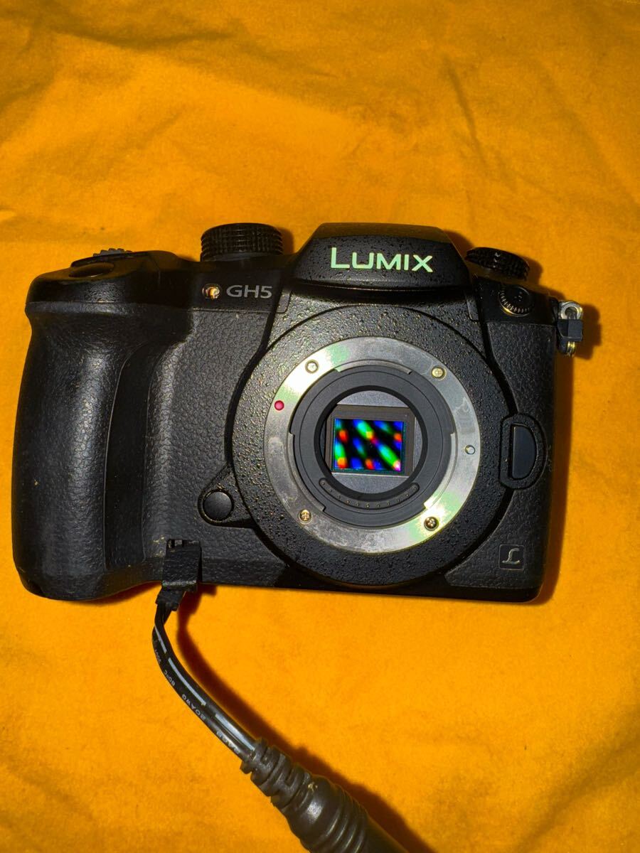 Yahoo!オークション - Panasonic LUMIX GH5 RD-SPM049 ミラーレス デジ...